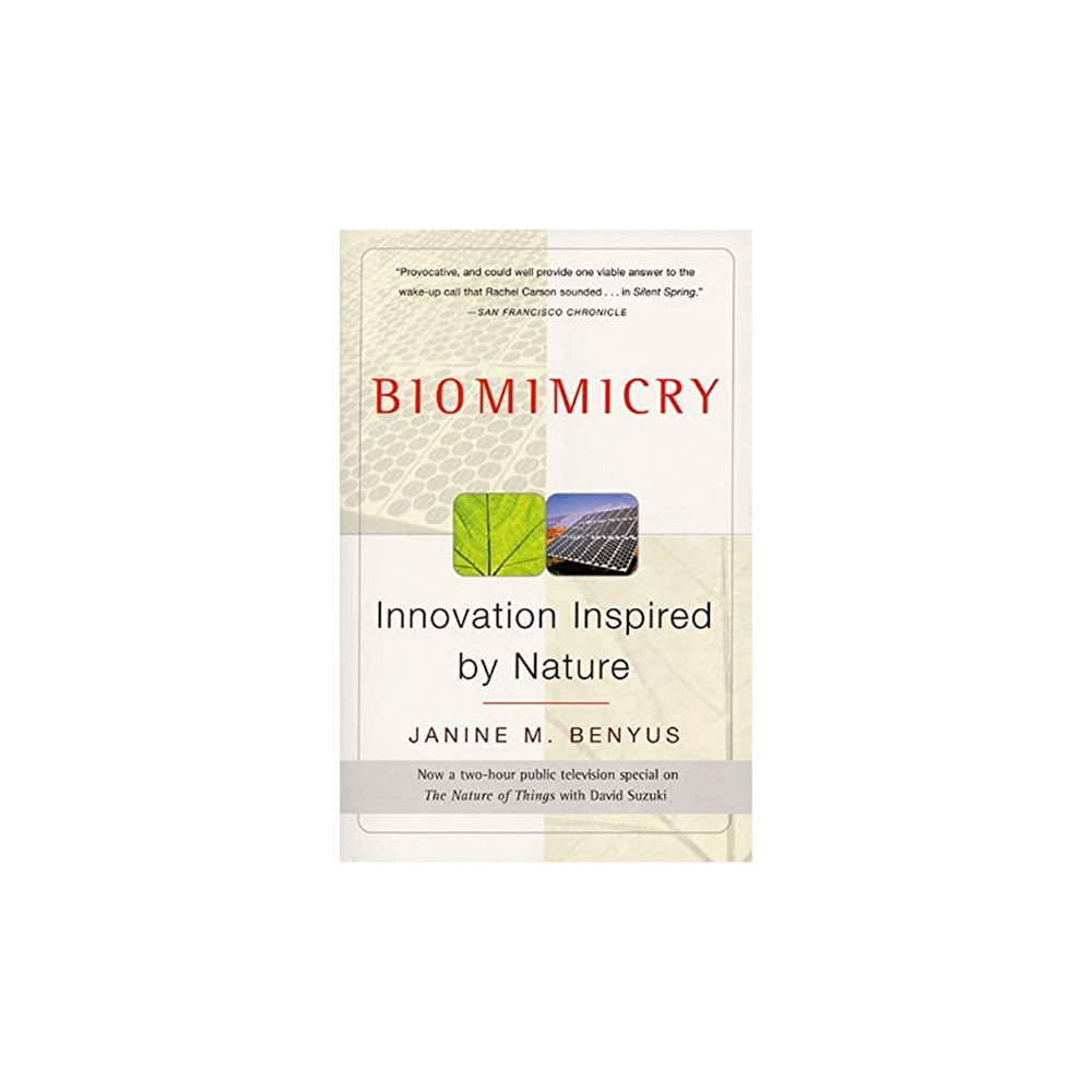 Biomimicry: Innovation Inspired by Nature