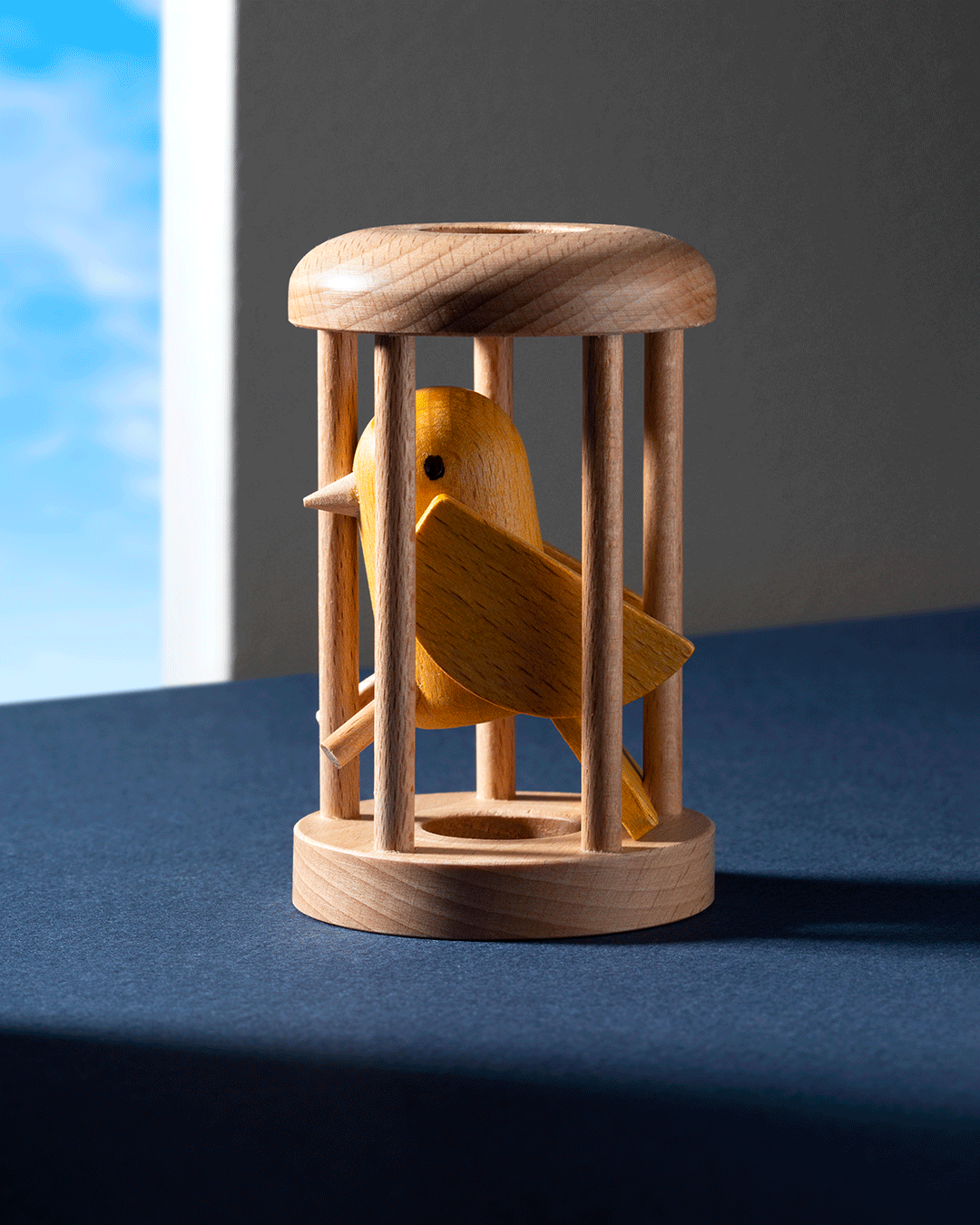 Bird in Cage Puzzle