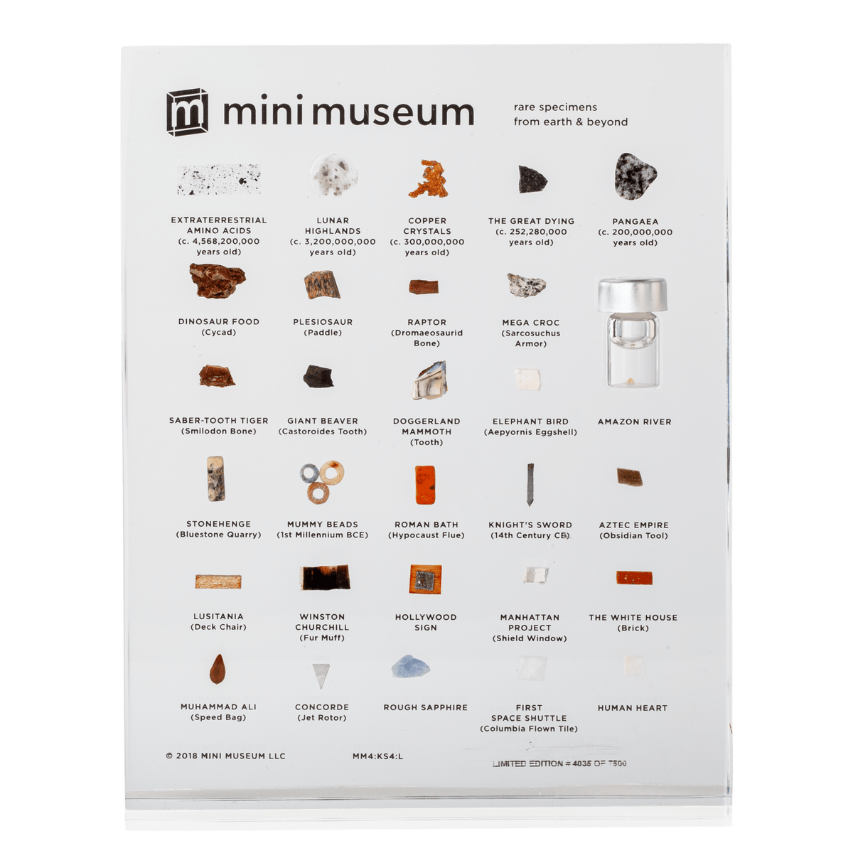 Mini Museum - Rare Specimens from Earth and Beyond!