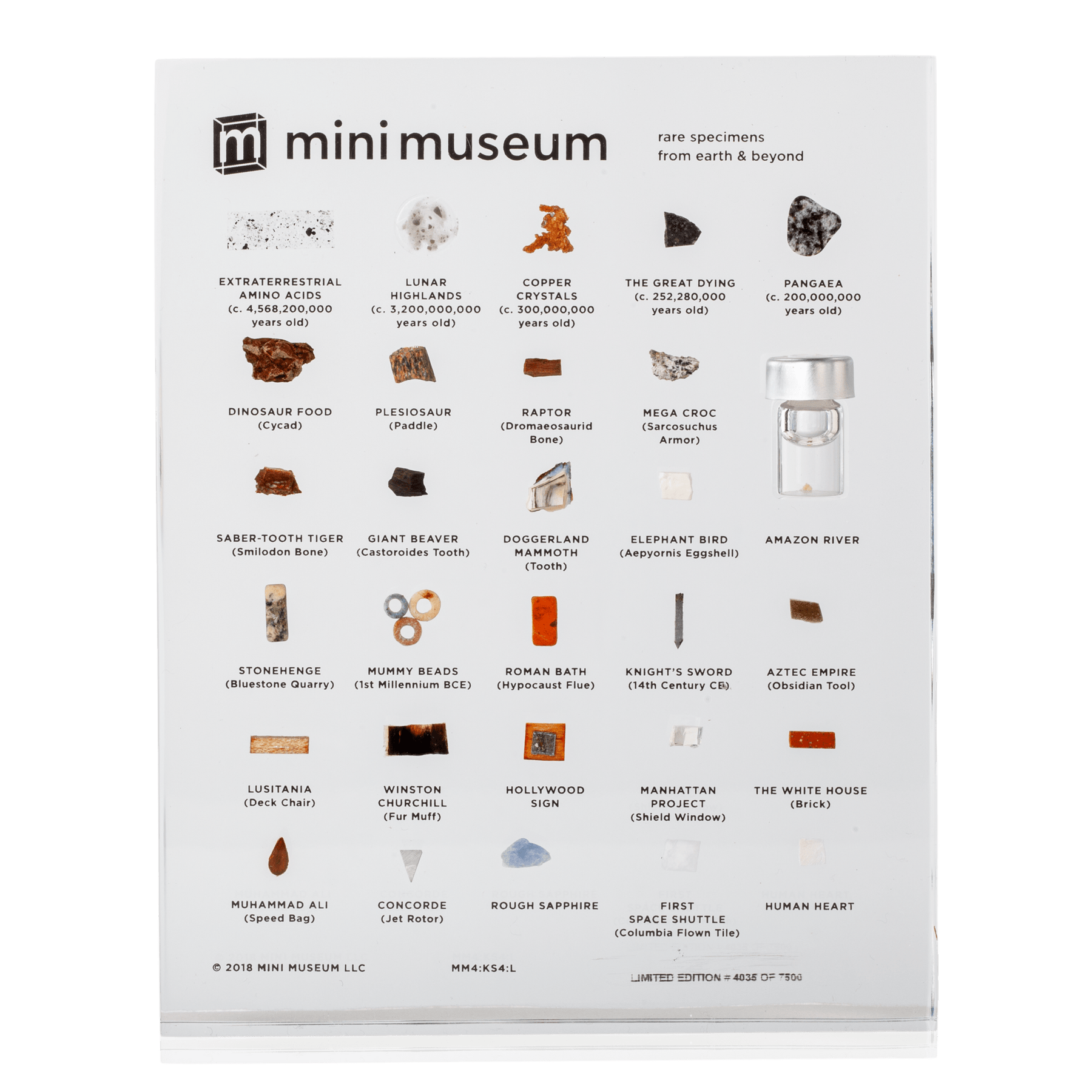 Mini Museum - Rare Specimens from Earth and Beyond!