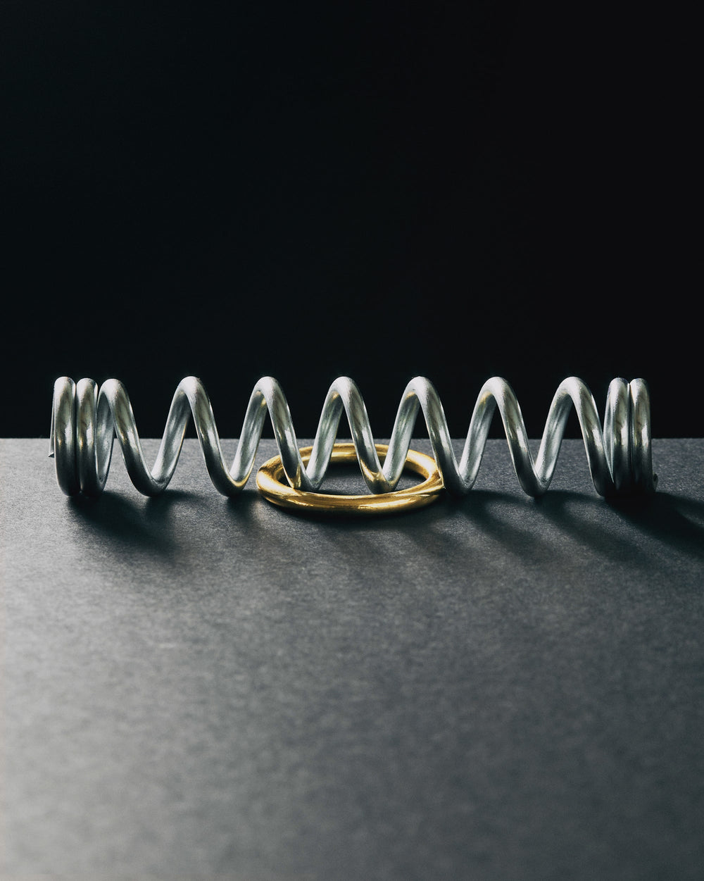 Ring & Spring Puzzle