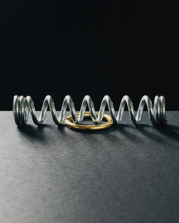 Ring & Spring Puzzle