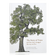 The Story Of Trees