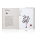 The Story Of Trees