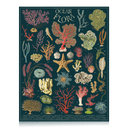 Vintage Ocean Flora Puzzle