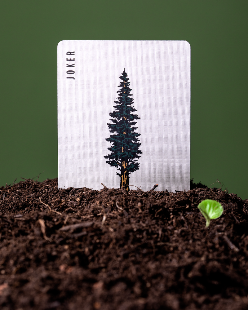 Official Smokey Bear Playing Cards