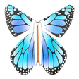 Magic Flying Butterfly