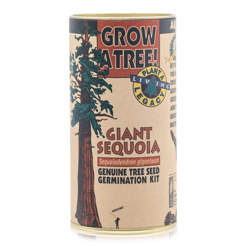 Seed Grow Kit: Giant Sequoia