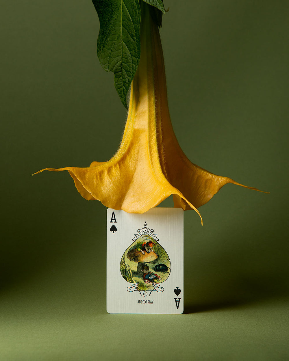 Premium Playing Cards by Art of Play