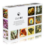 OuiSi Original: Games of Visual Connection