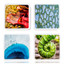 OuiSi Nature: Games of Visual Connection